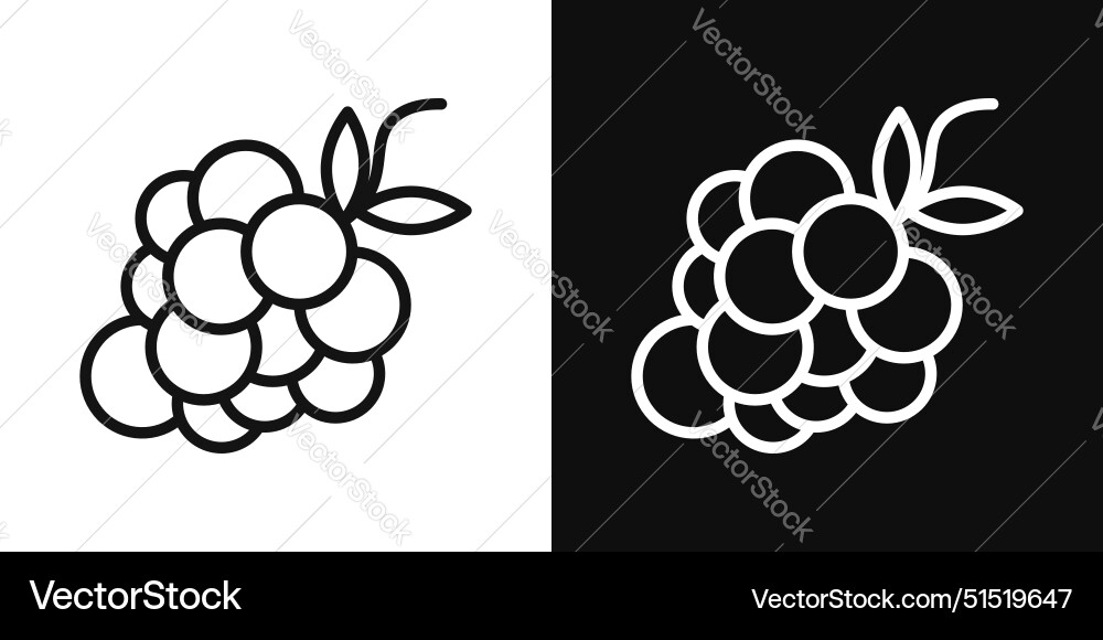 Grape icon Royalty Free Vector Image - VectorStock