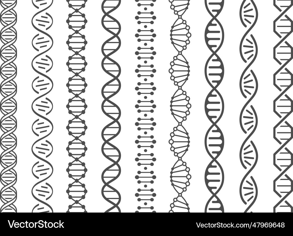 Seamless dna spiral and helix structure genomic Vector Image
