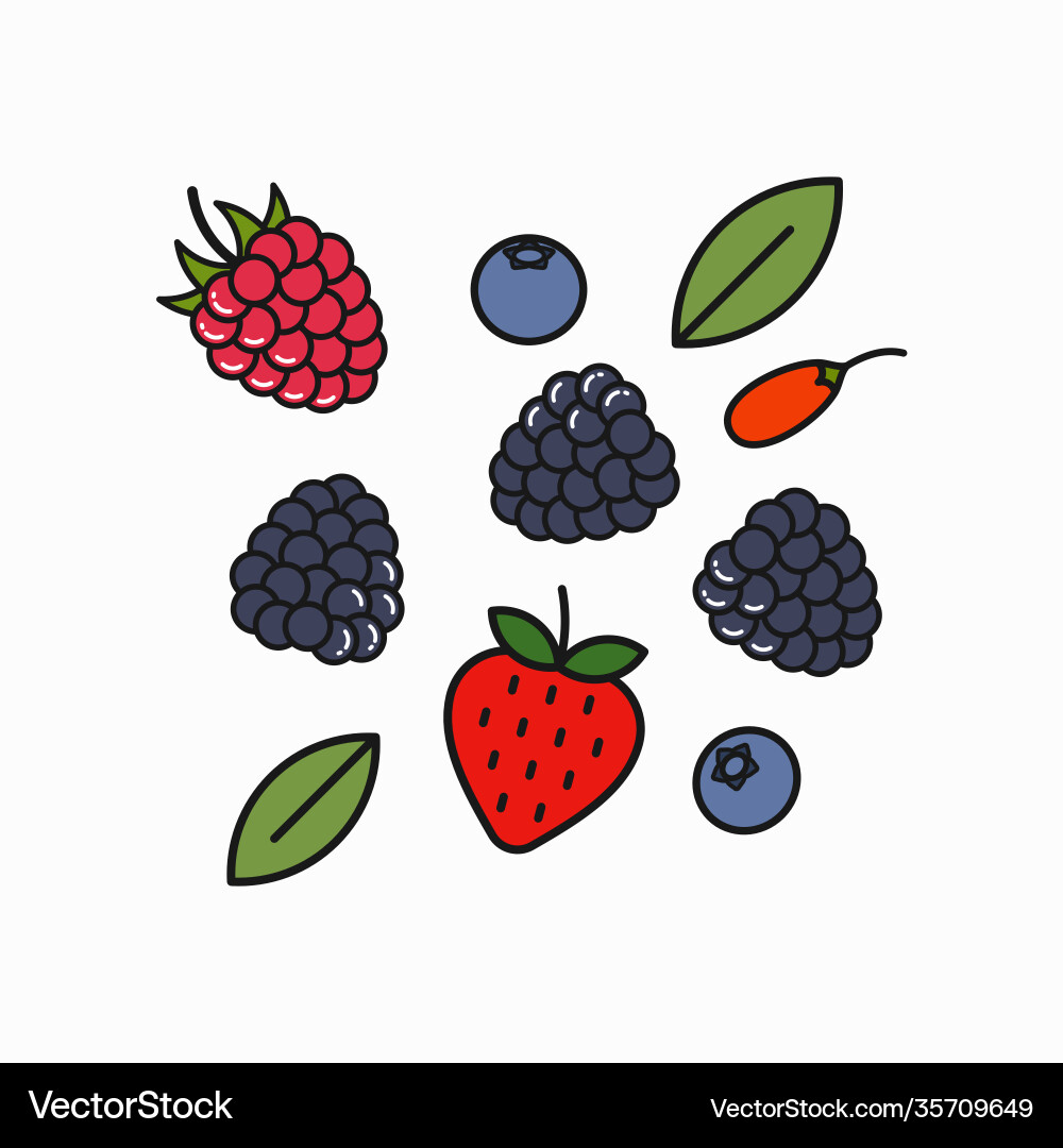 Berry blend logo raspberry blueberry and goji Vector Image