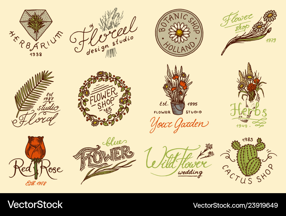 Blumenshop Embleme und helles Logo Vintage Vektorbild