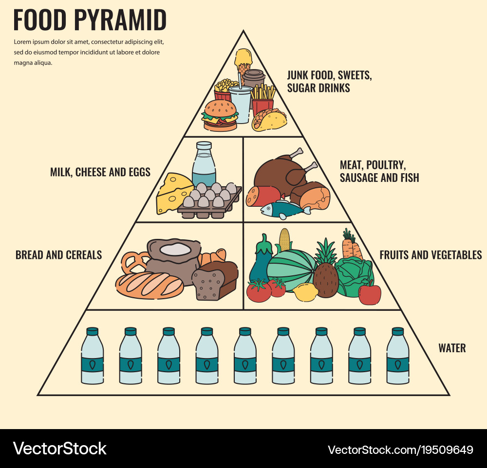 Food pyramid healthy eating infographic Royalty Free Vector