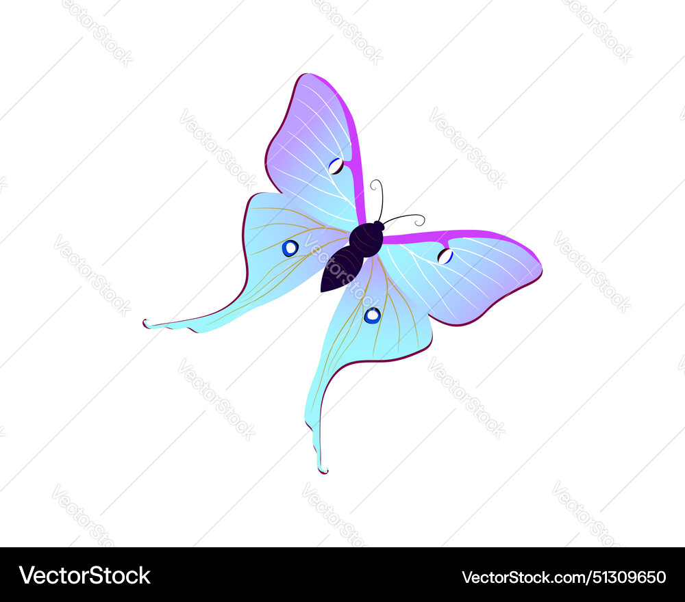 A colorful butterfly on white background Vector Image