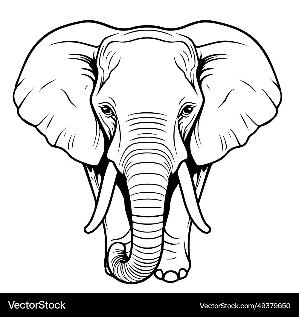 Elephant cartoon hand drawn wild animal Royalty Free Vector