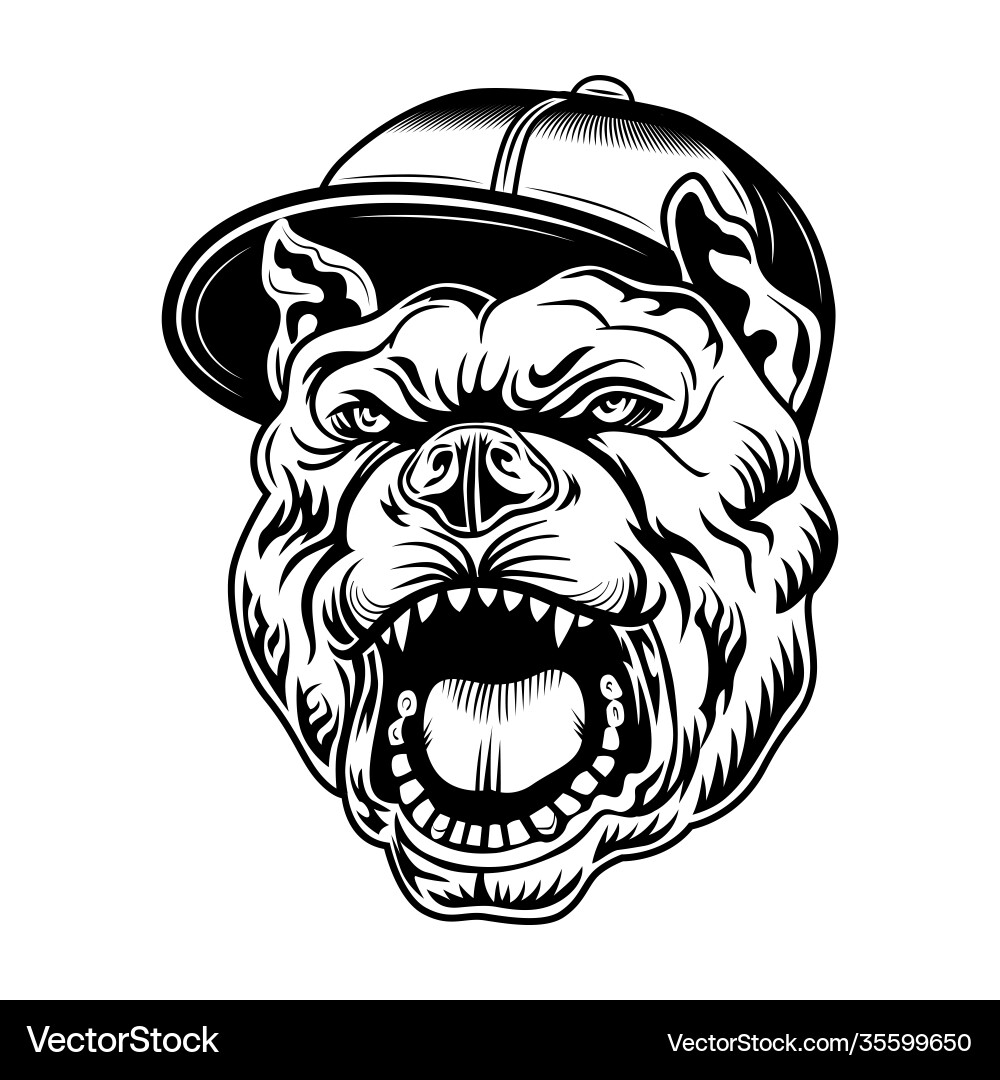 Gangsta bulldog Royalty Free Vector Image - VectorStock