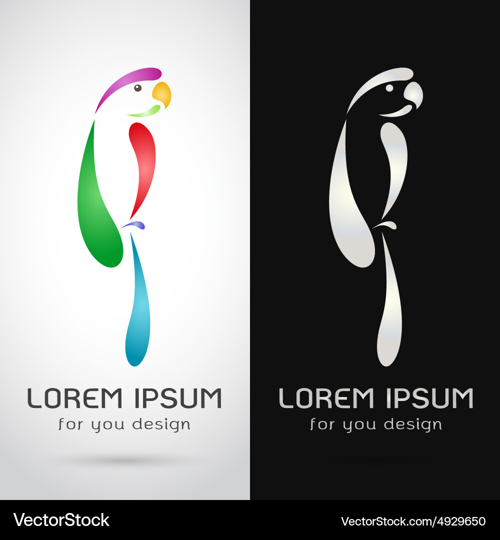 Parrot Royalty Free Vector Image - VectorStock