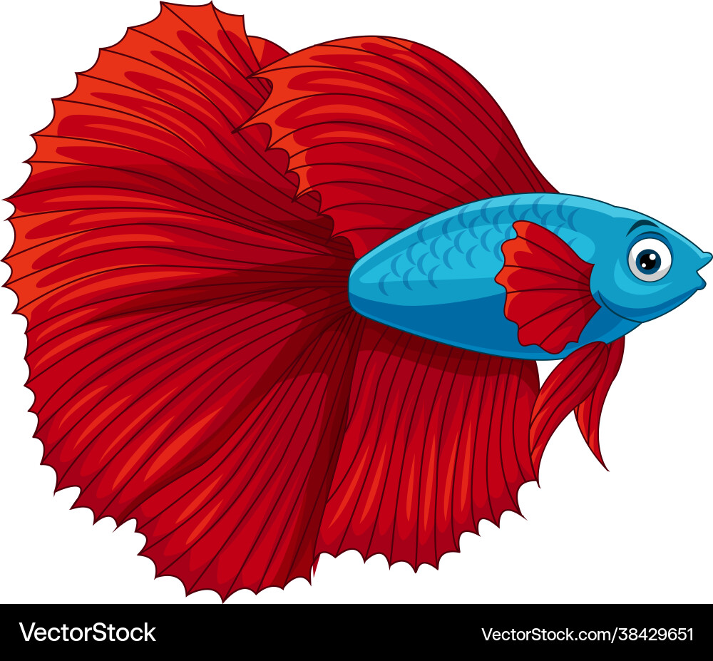 Cartoon Betta Fish Royalty Free Vector Image - VectorStock