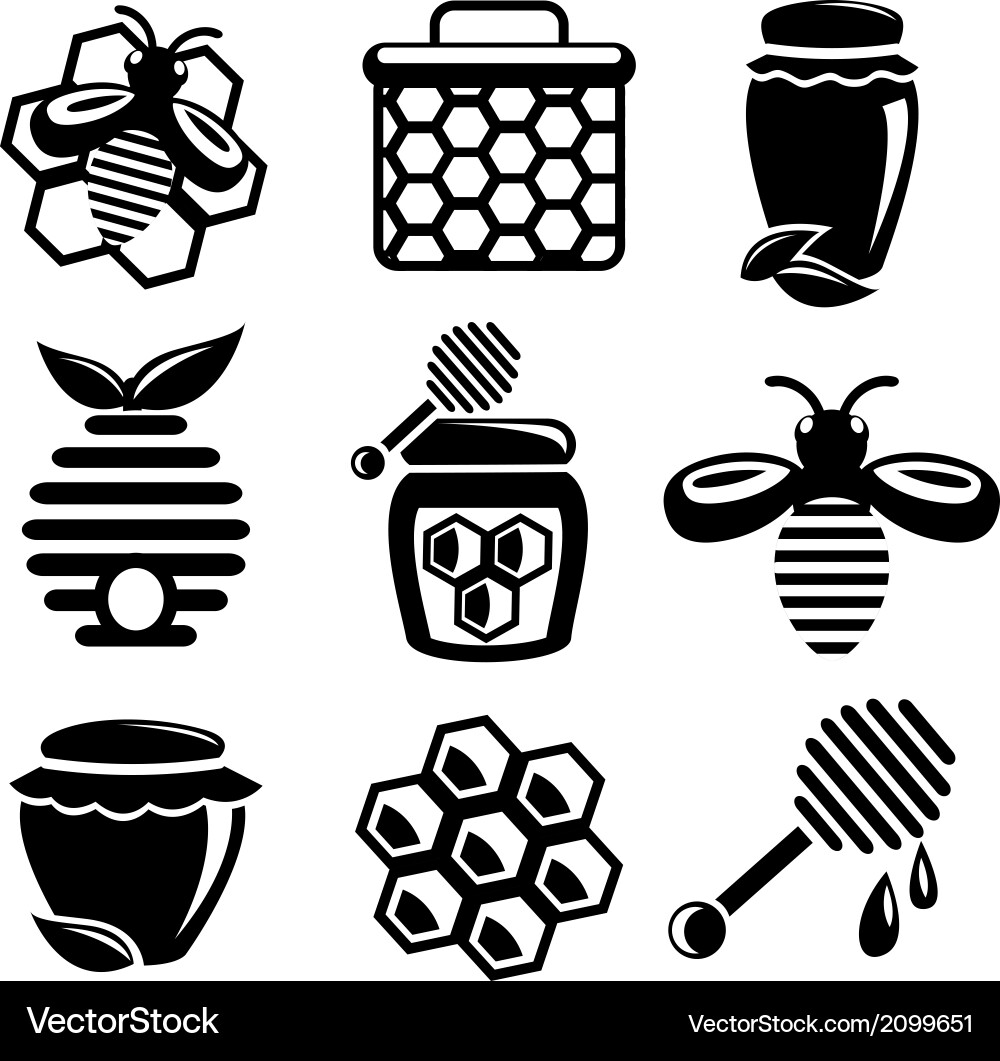 Honey Icon Set - Beehive & Honeycomb Vector Image