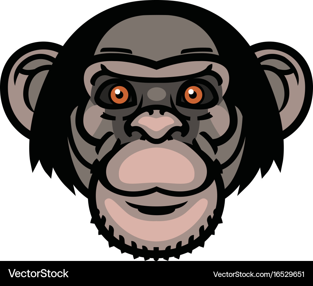 Monkey head Royalty Free Vector Image - VectorStock