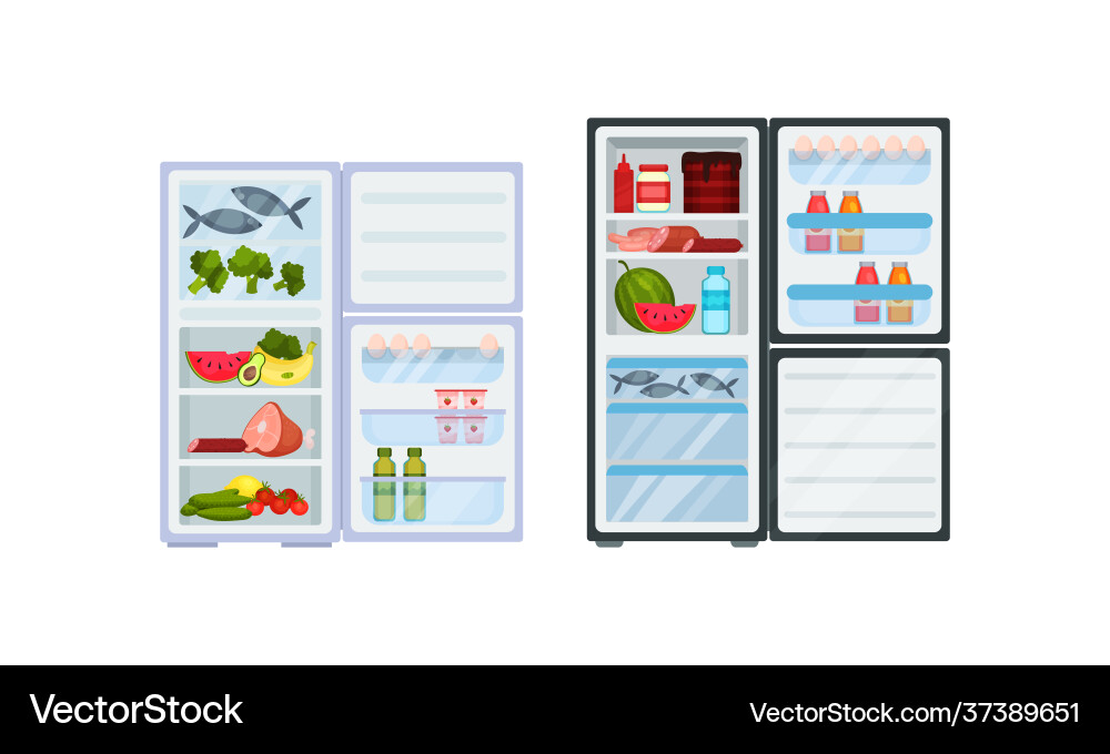 Open refrigerator or fridge as home appliance Vector Image
