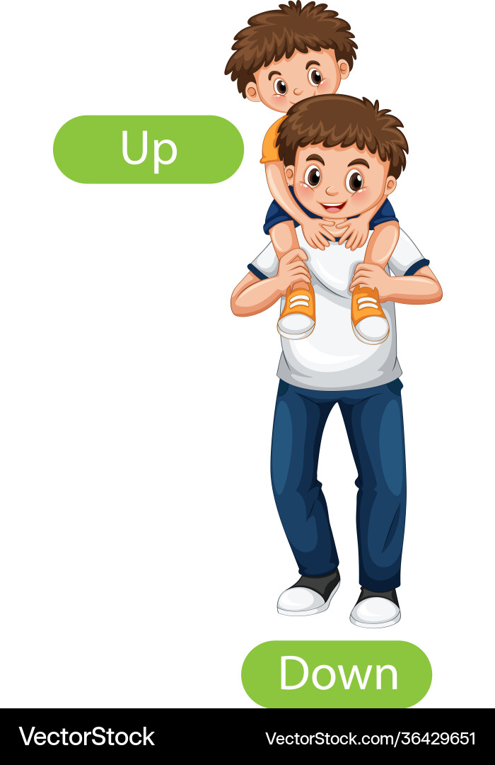 Opposite words with up and down Royalty Free Vector Image