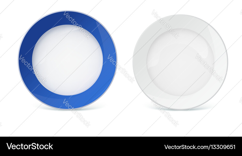Porcelain plates with reflexes and reflections Vector Image