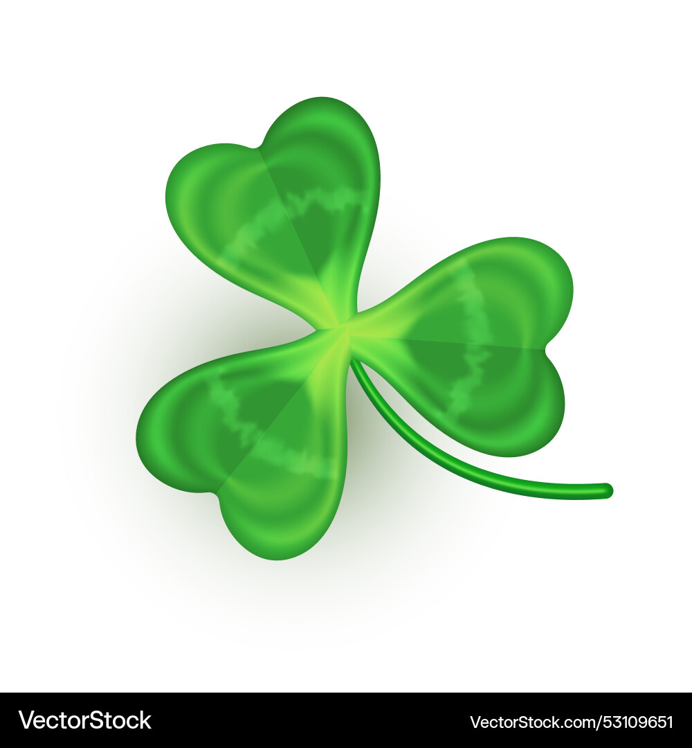 Realistic shamrock icon clover three leaves logo Vector Image