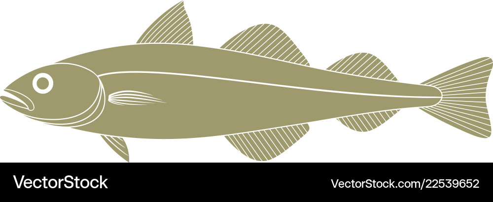 Pollock Royalty Free Vector Image - VectorStock