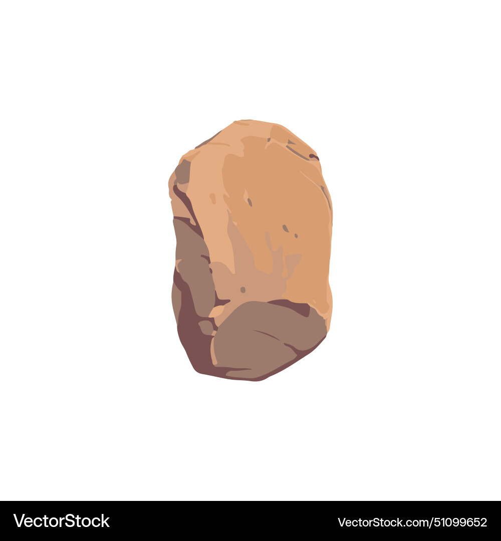 Textured brown boulder Royalty Free Vector Image