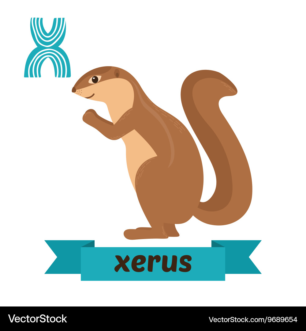 Xerus x letter cute children animal alphabet Vector Image