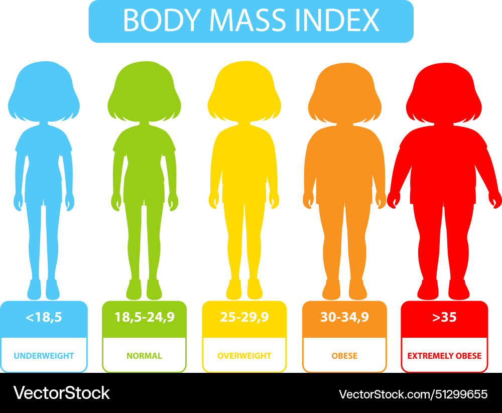 Bmi categories and ranges Royalty Free Vector Image