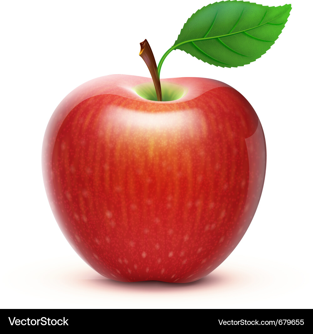 Red apple Royalty Free Vector Image - VectorStock