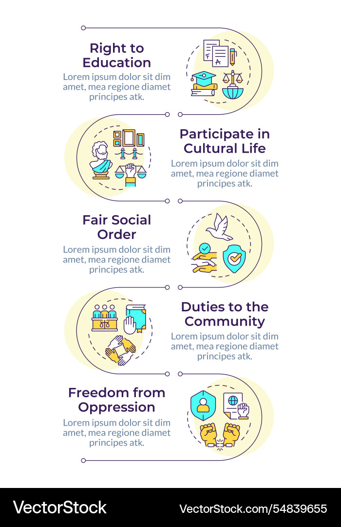 Socioeconomical human rights infographic vertical Vector Image