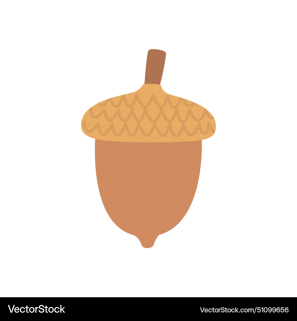 A cute acorn isolated on white background Vector Image