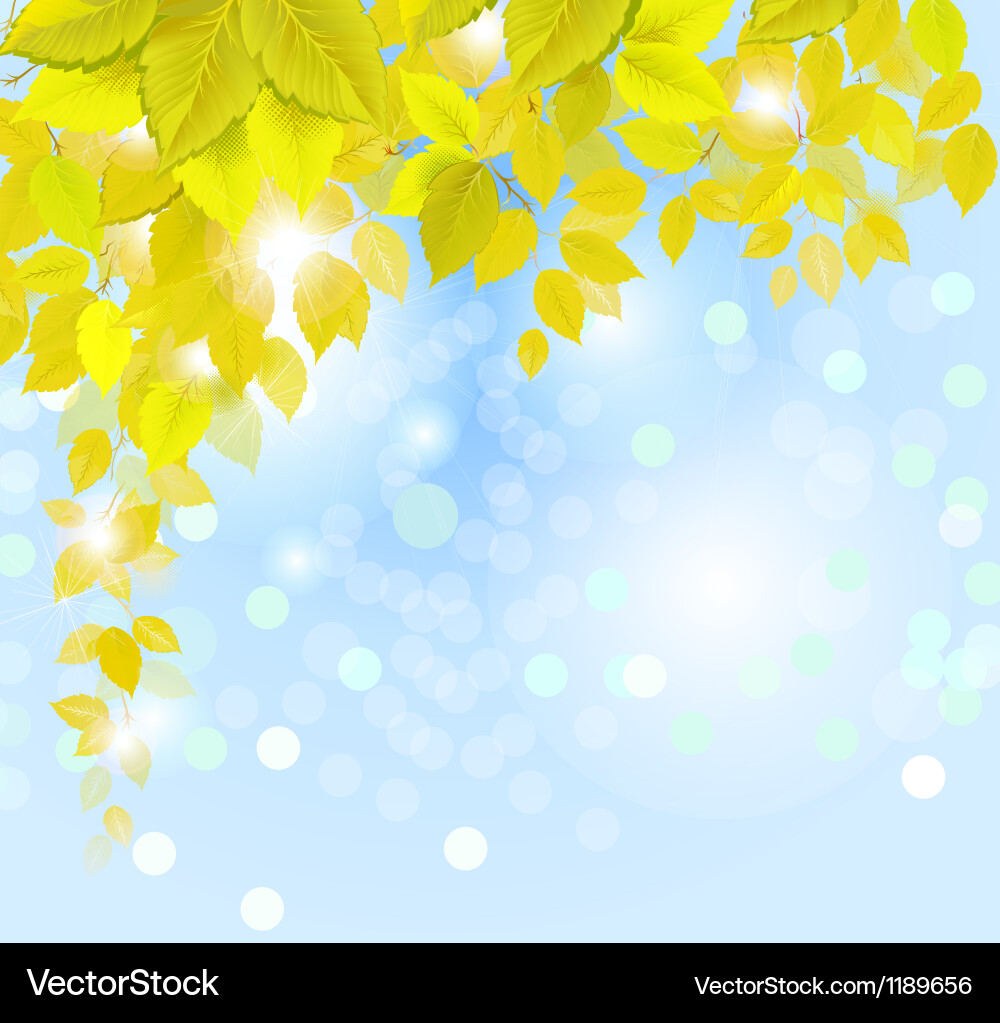 Yellow leaves Royalty Free Vector Image - VectorStock