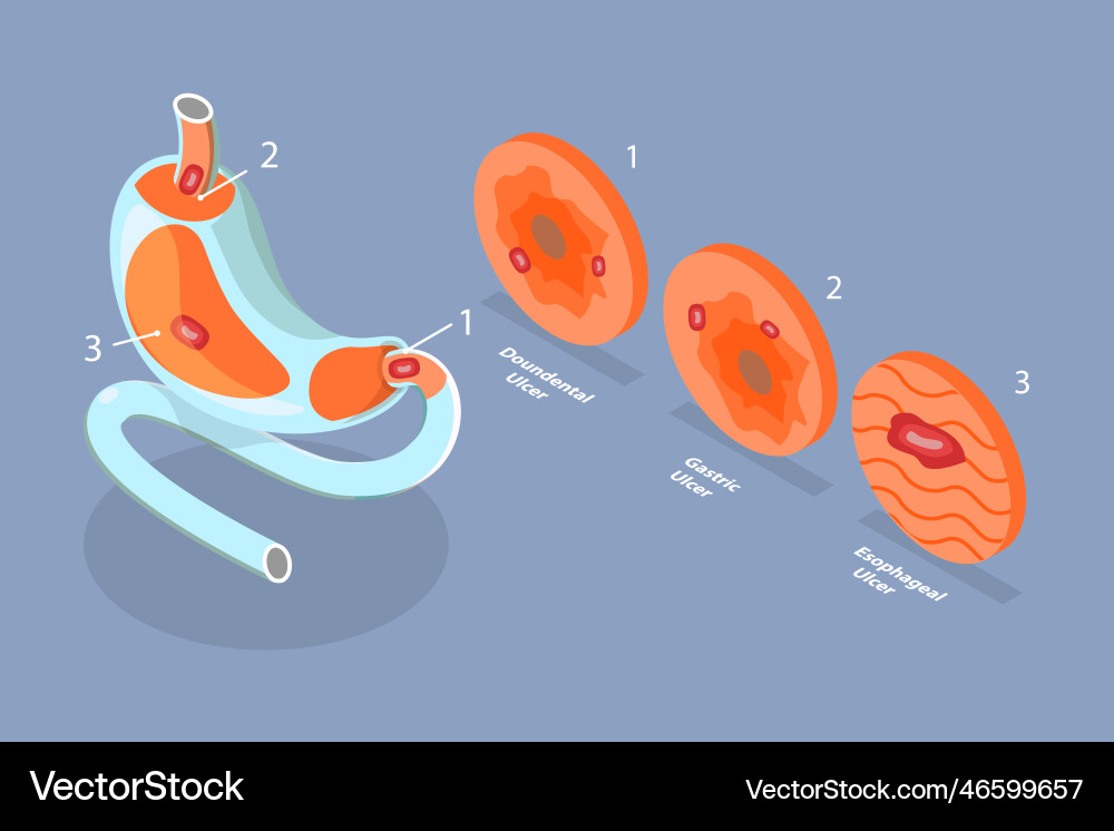 3d isometric flat conceptual Royalty Free Vector Image