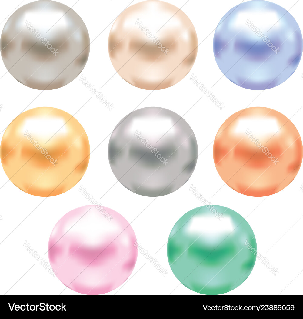 Elegant white pearl Royalty Free Vector Image - VectorStock