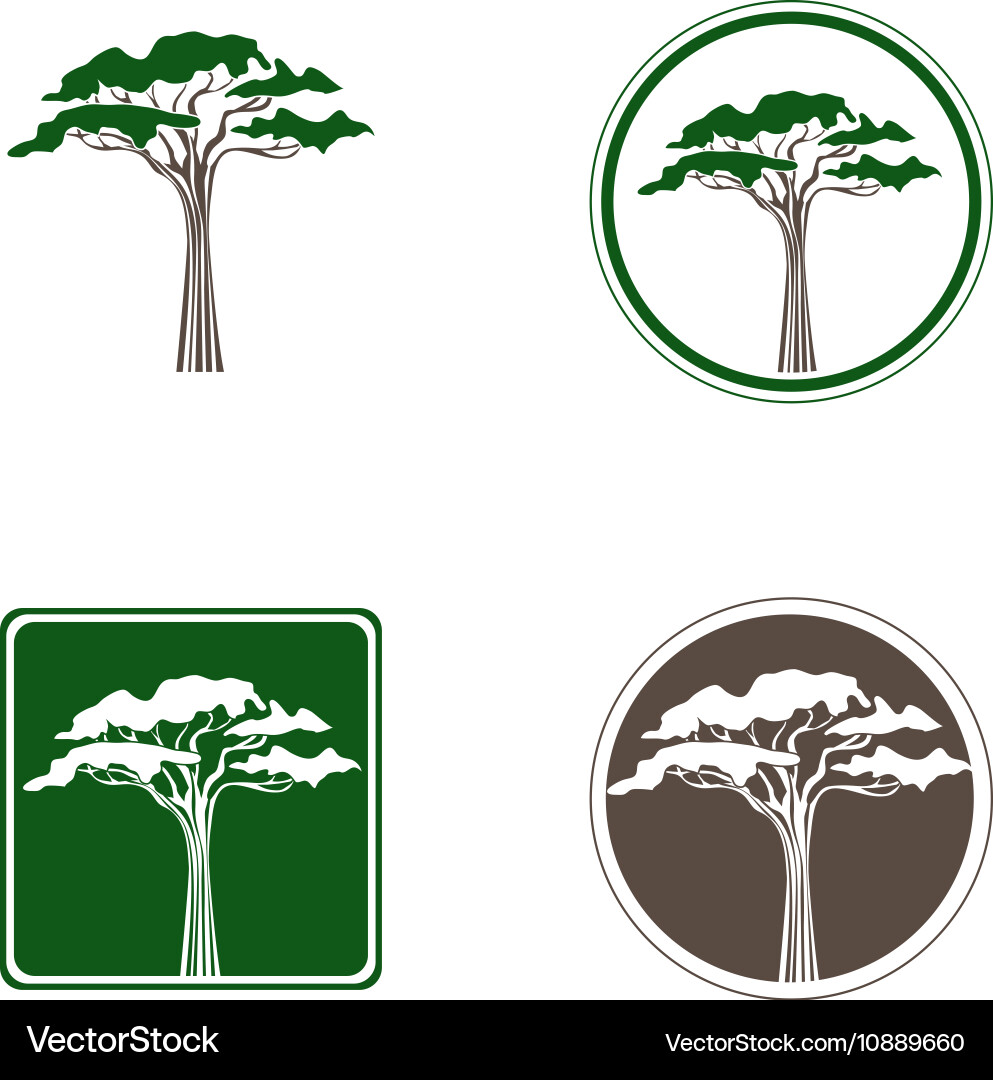 Elegant Acacia Tree Logo Royalty Free Vector Image