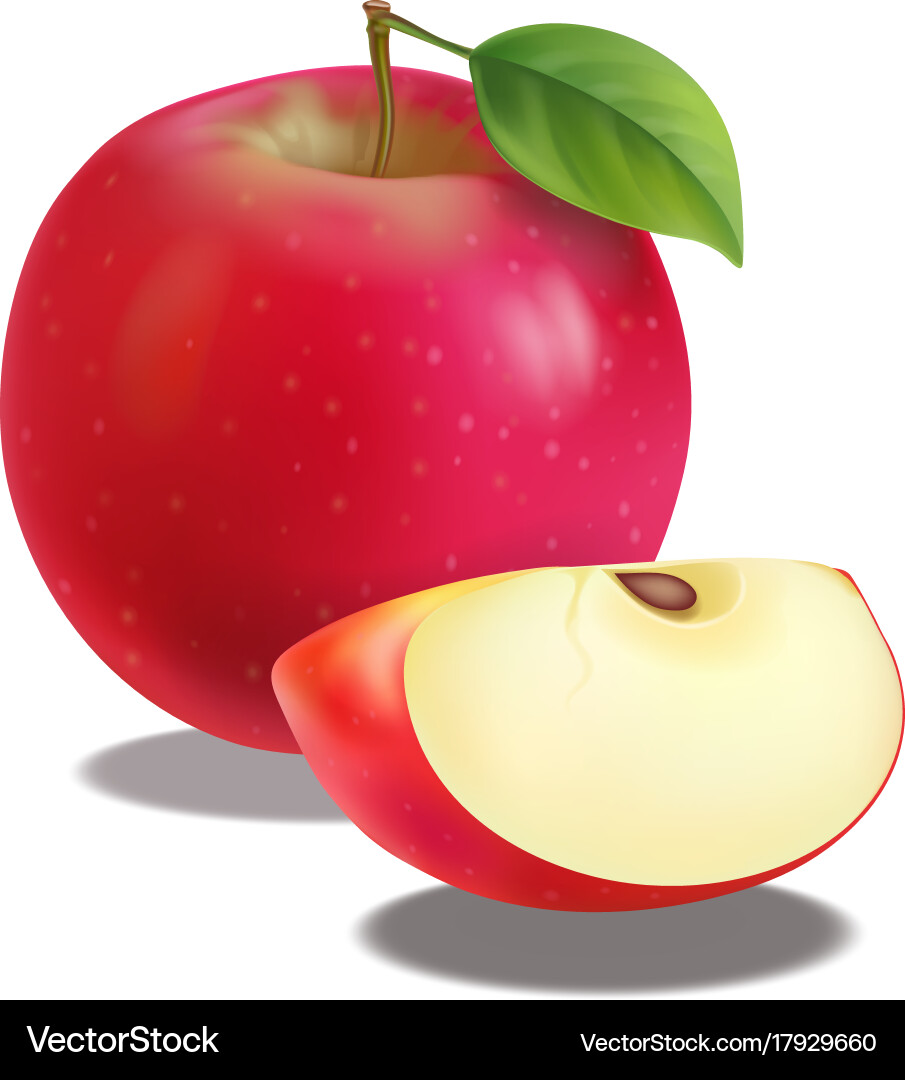 Red apples with green leaves and apple slice Vector Image