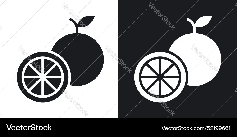 Citrus icon set in solid style Royalty Free Vector Image