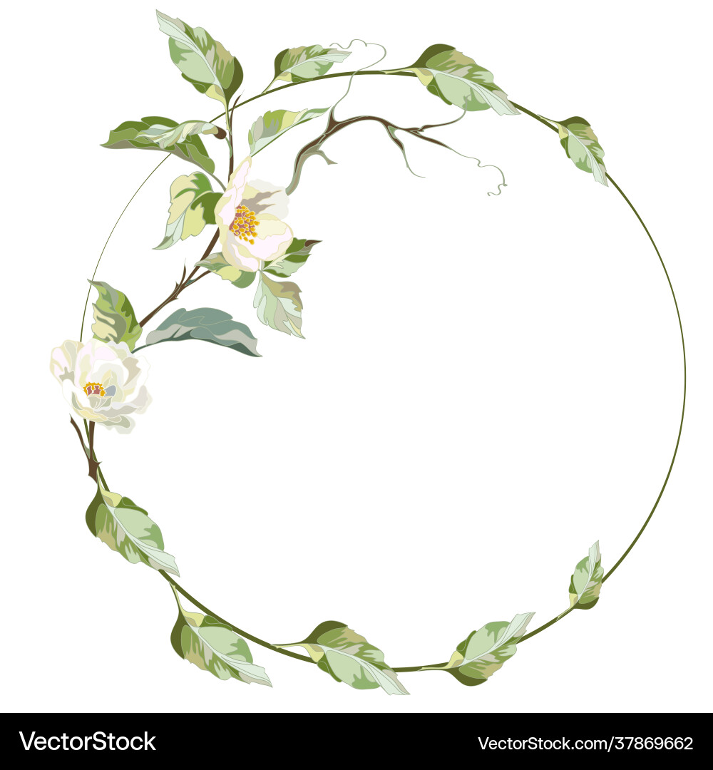 Frame with jasmine branch Royalty Free Vector Image