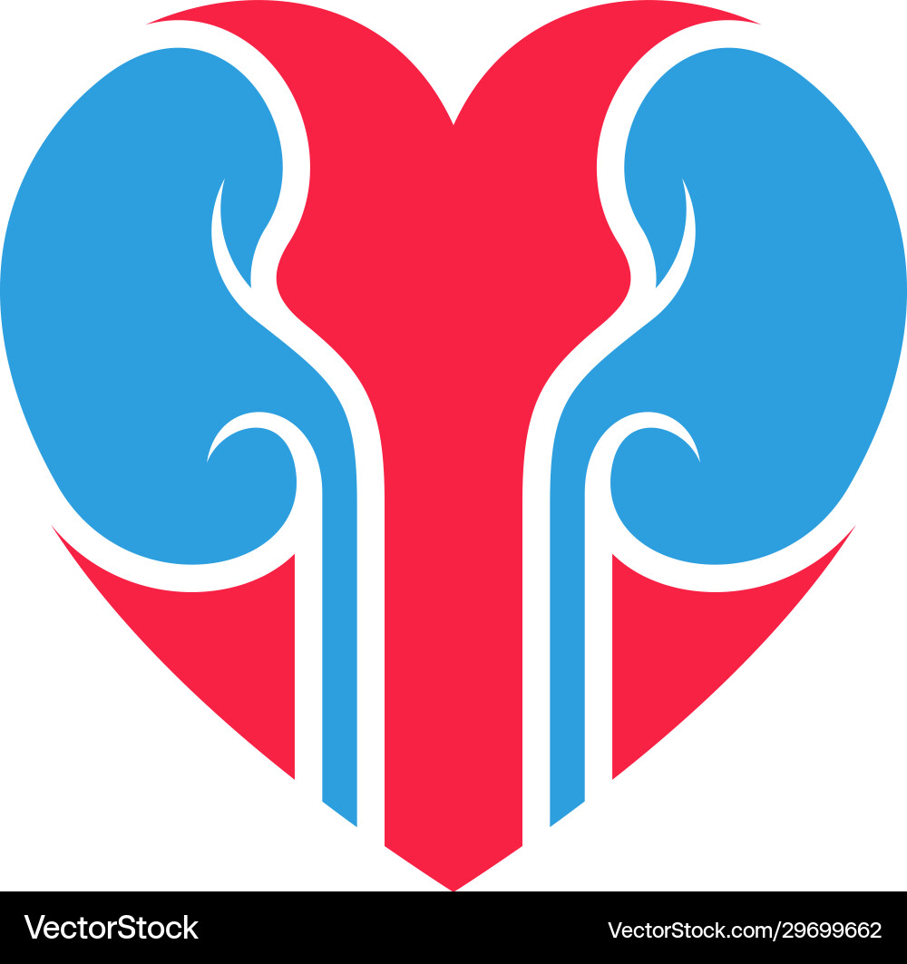 Kidney with love logo design inspiration template Vector Image