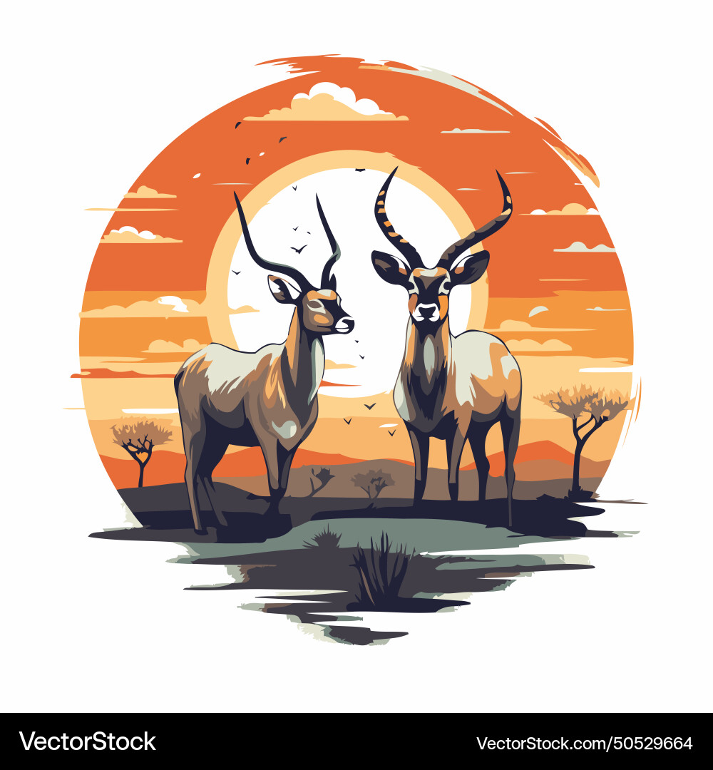 Two antelopes on the background of sunset Vector Image