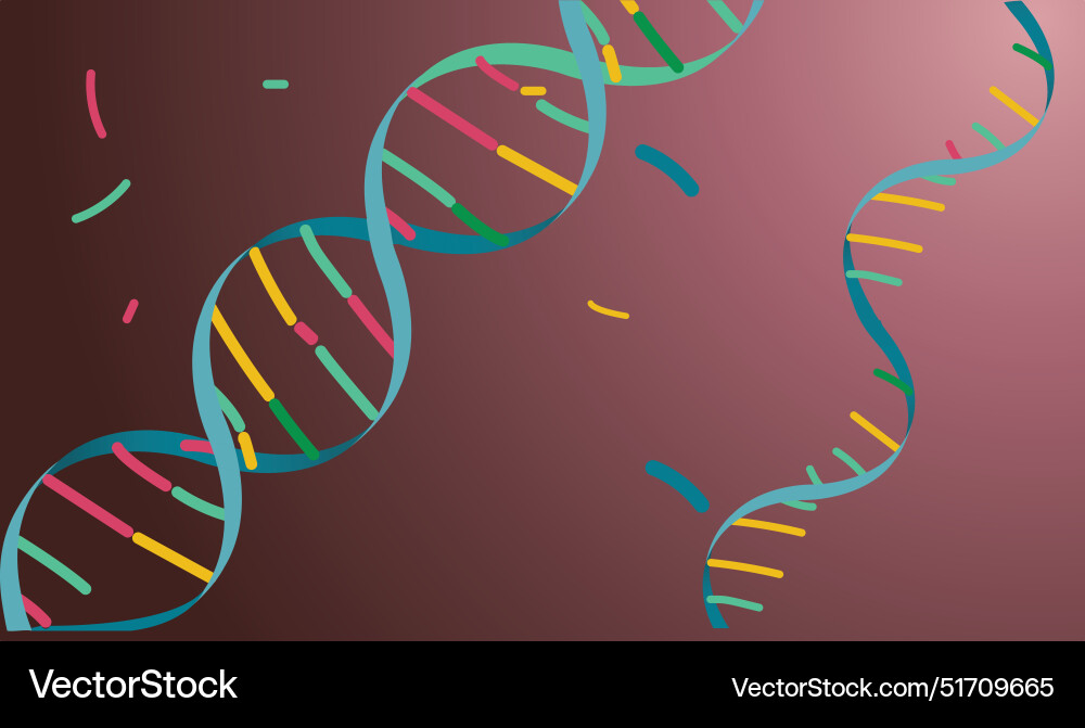 Dna and rna Royalty Free Vector Image - VectorStock