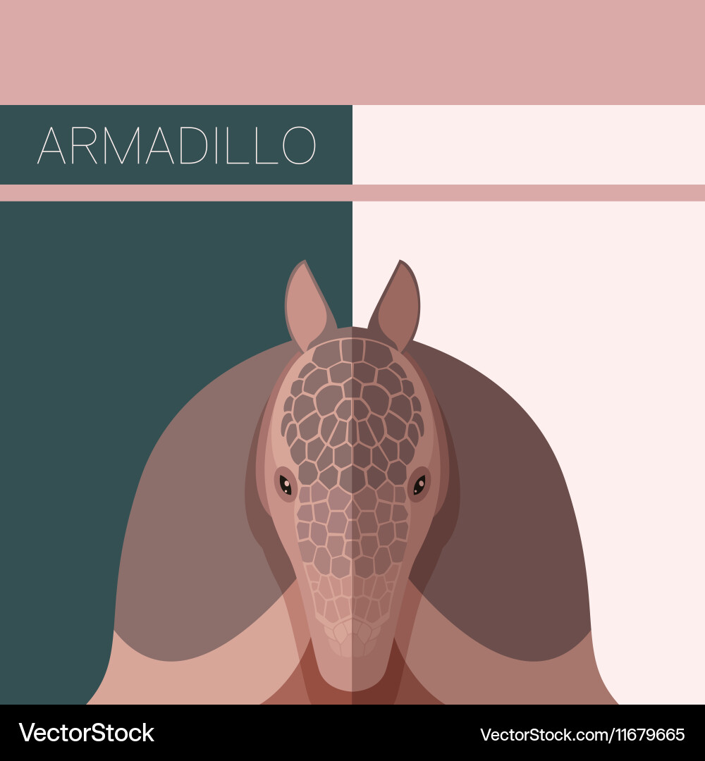 Flat postcard with armadillo Royalty Free Vector Image