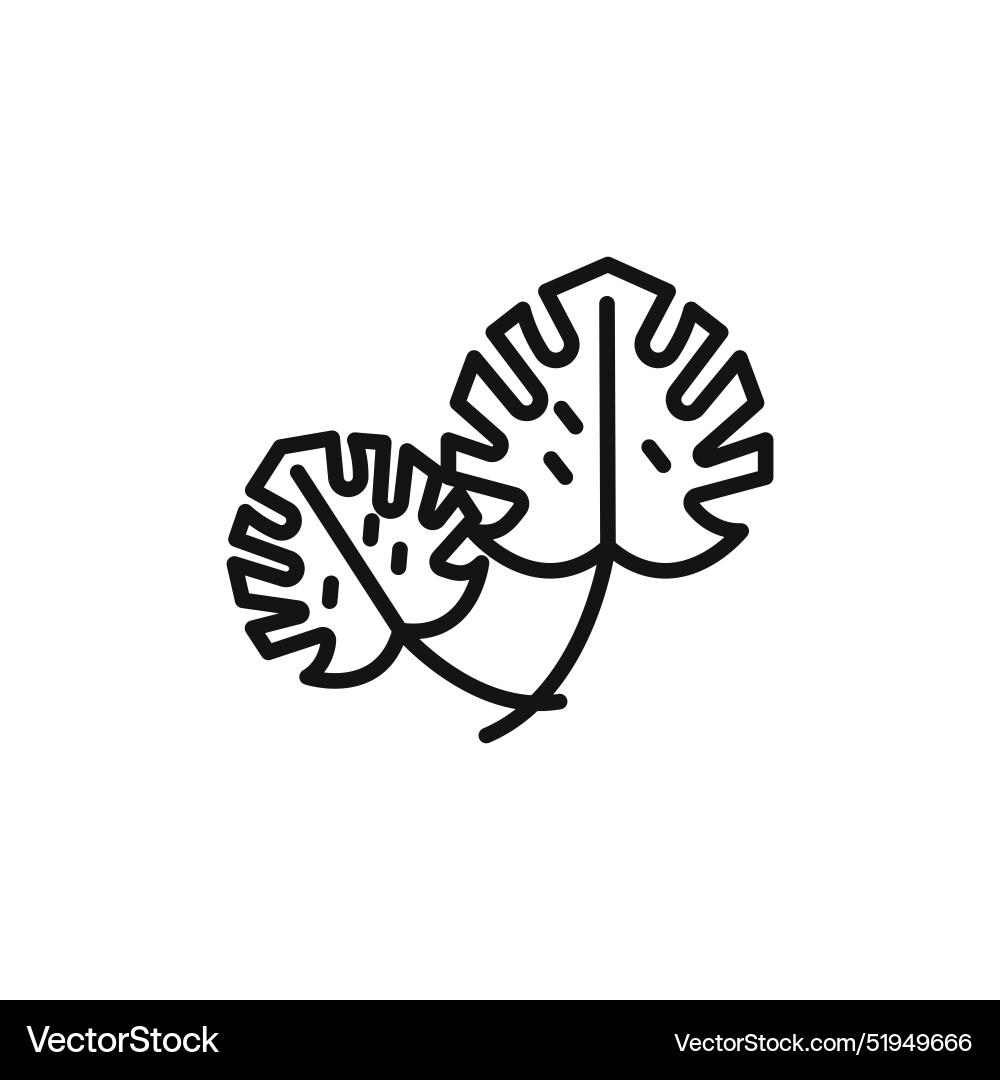 Monstera leaves logo sign outline Royalty Free Vector Image
