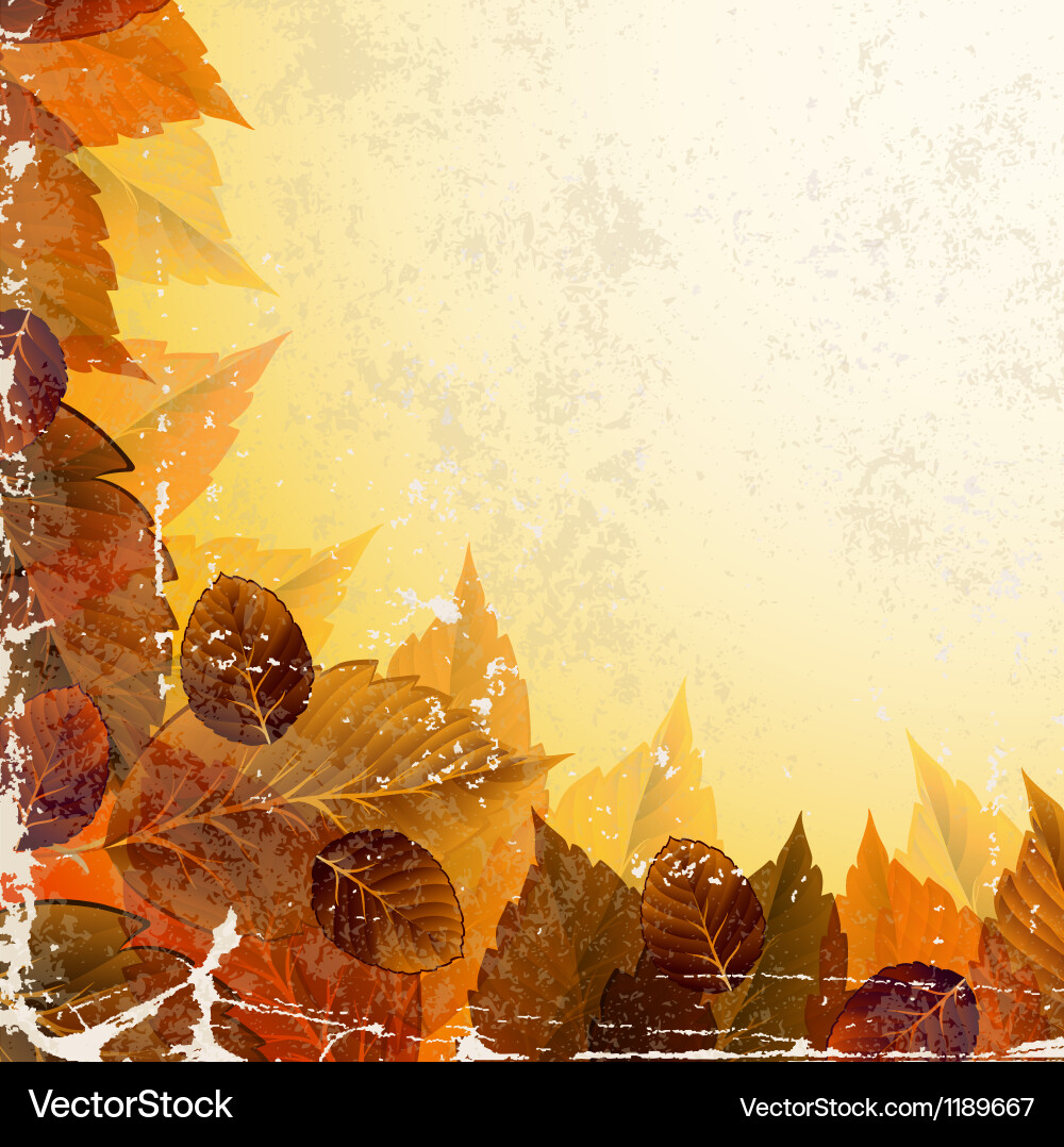 Autumn leaves Royalty Free Vector Image - VectorStock
