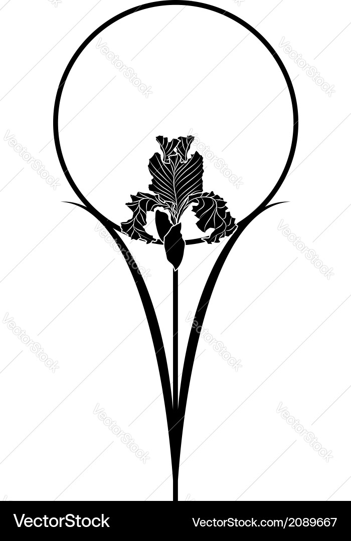 Iris Royalty Free Vector Image - VectorStock