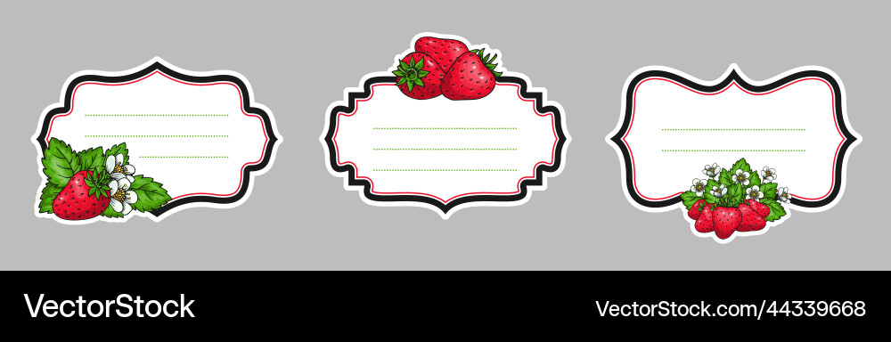 Strawberry Frame Collection Royalty Free Vector Image