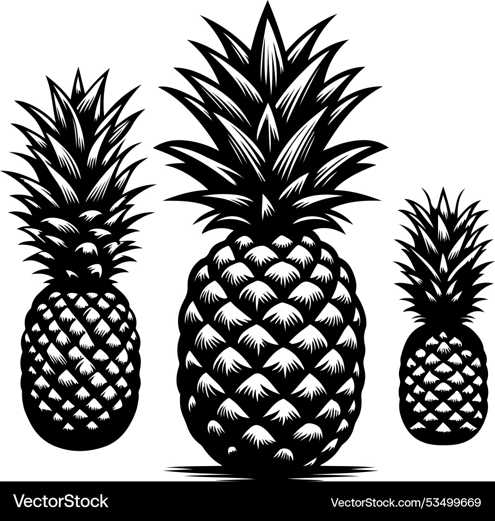 A set of pineapples silhouette Royalty Free Vector Image