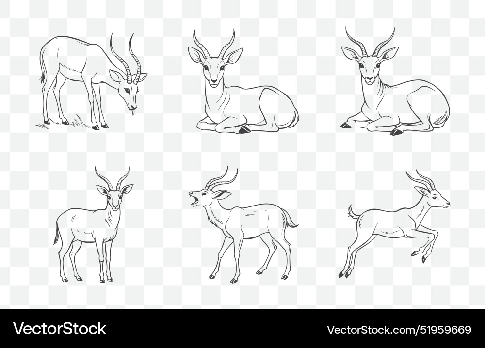 Print comprehensive antelope line art Royalty Free Vector