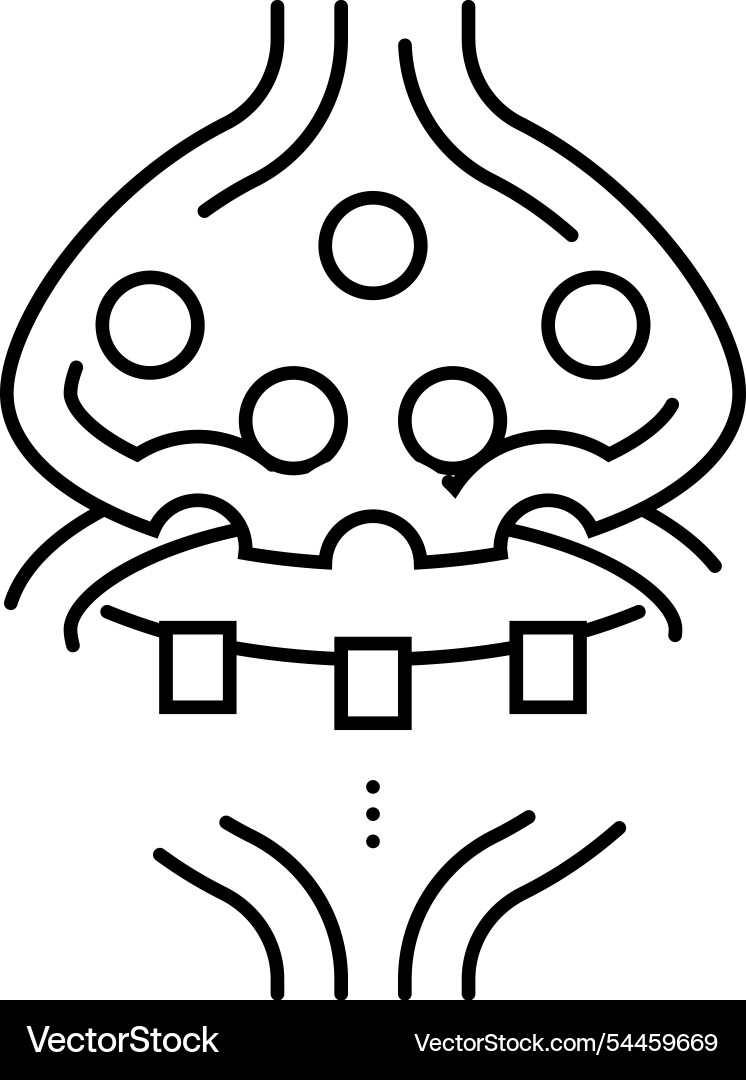 Synaptic transmission neuroscience neurology line Vector Image