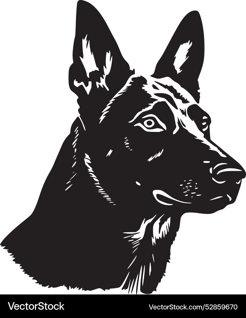Australian kelpie - minimalist and flat logo Vector Image