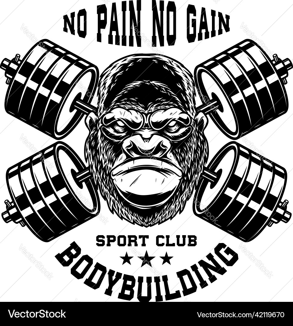 Gorilla with crossed gym barbells design element Vector Image