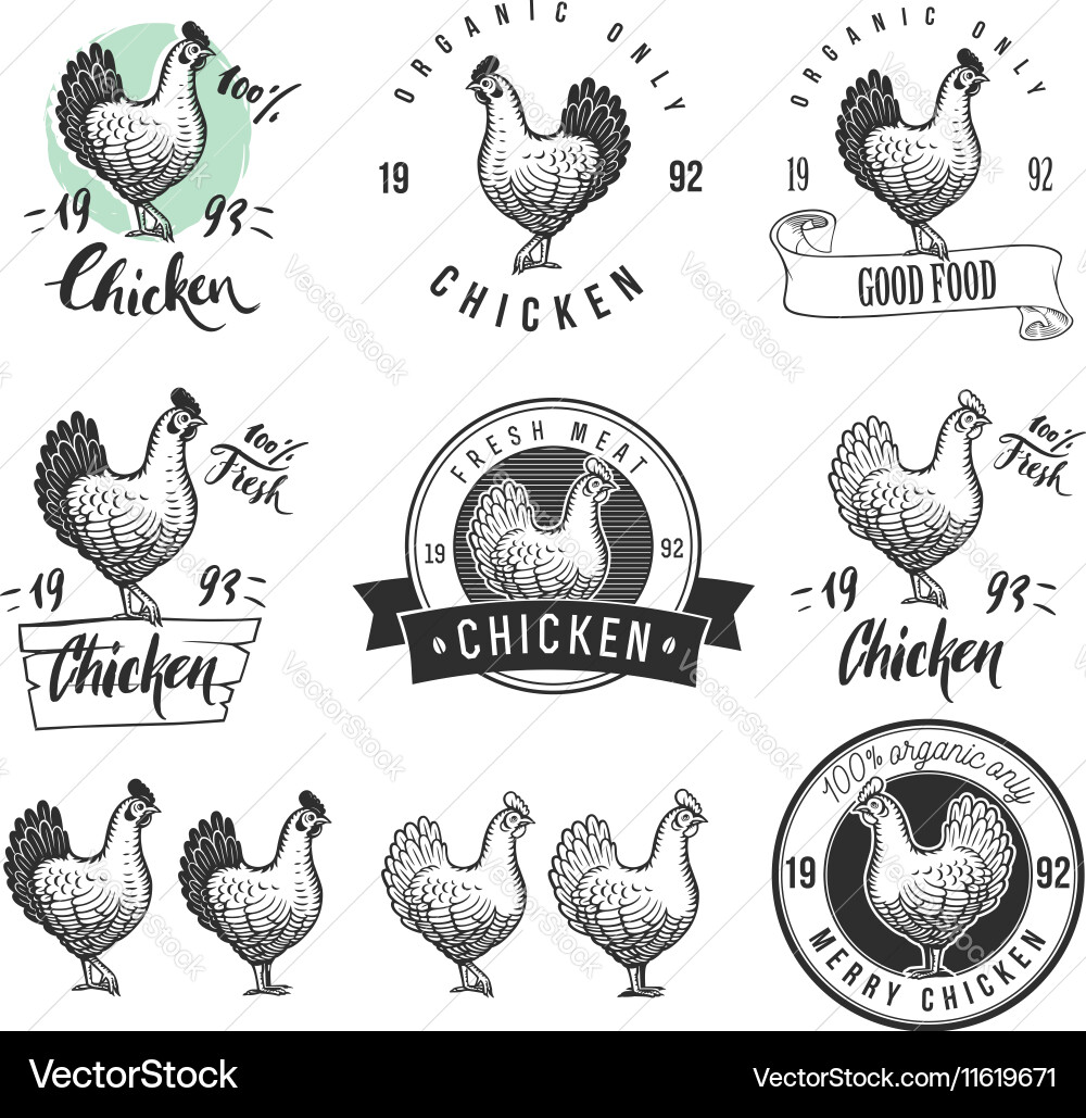 Chicken Branding & Badge Set Royalty Free Vector Image