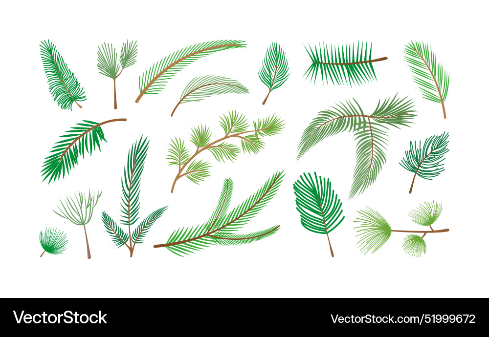 Cartoon christmas tree branches spruce pine cedar Vector Image
