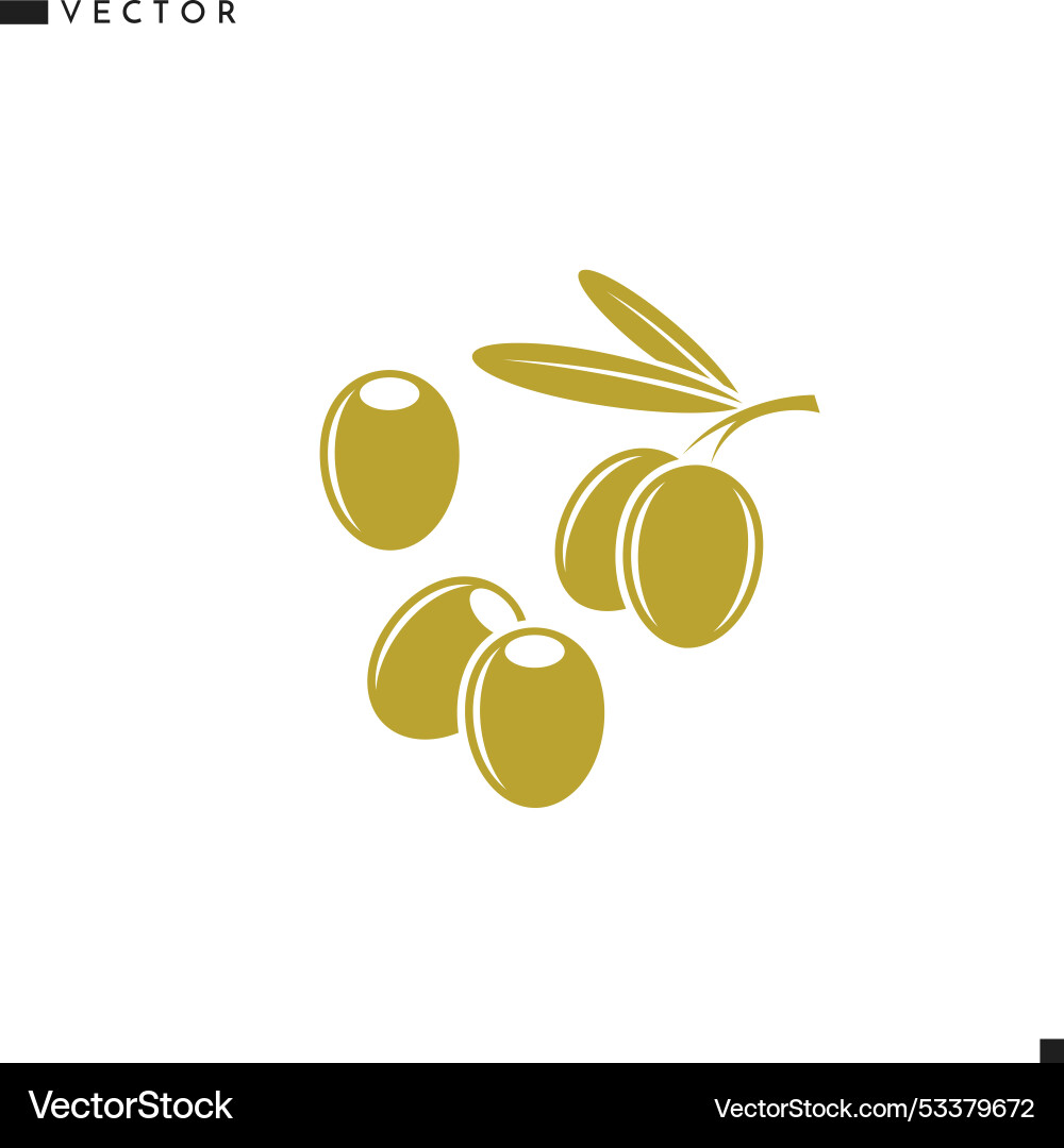 Olive icon set Royalty Free Vector Image - VectorStock