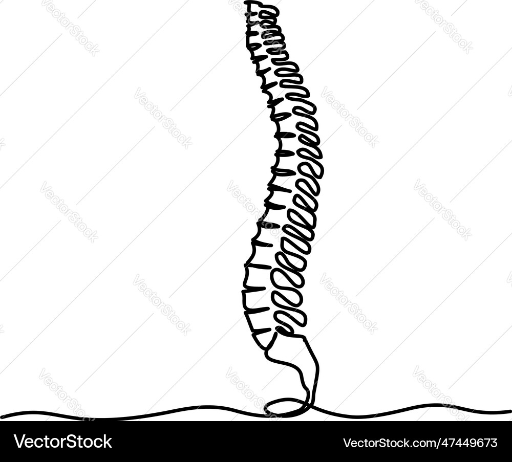 Chiropractor spine continuous one line drawing Vector Image