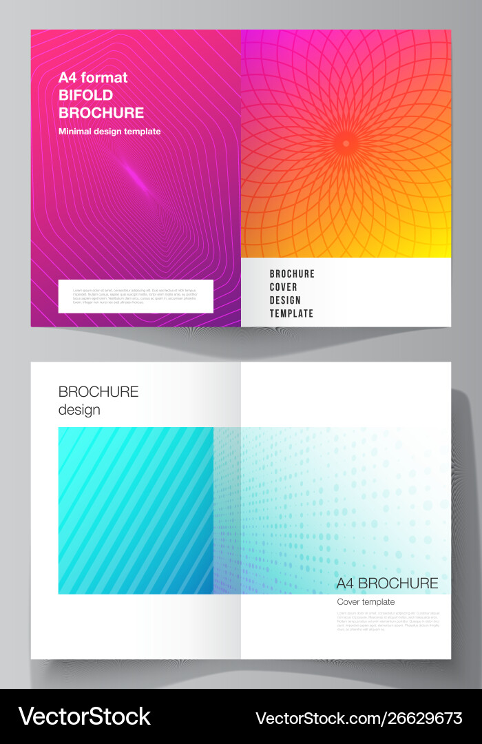 Layout two a4 format modern cover Royalty Free Vector Image