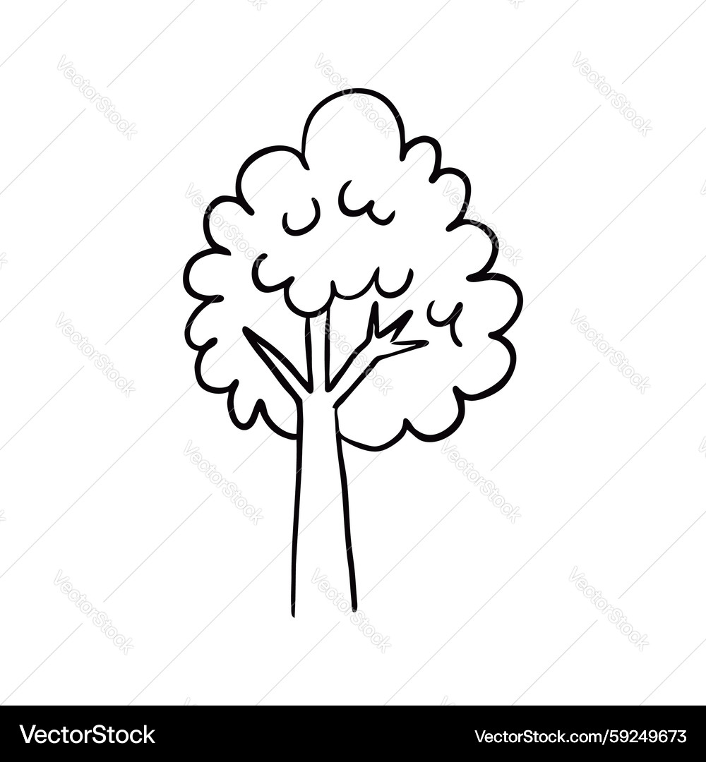 Simple black and white line drawing of a tree Vector Image