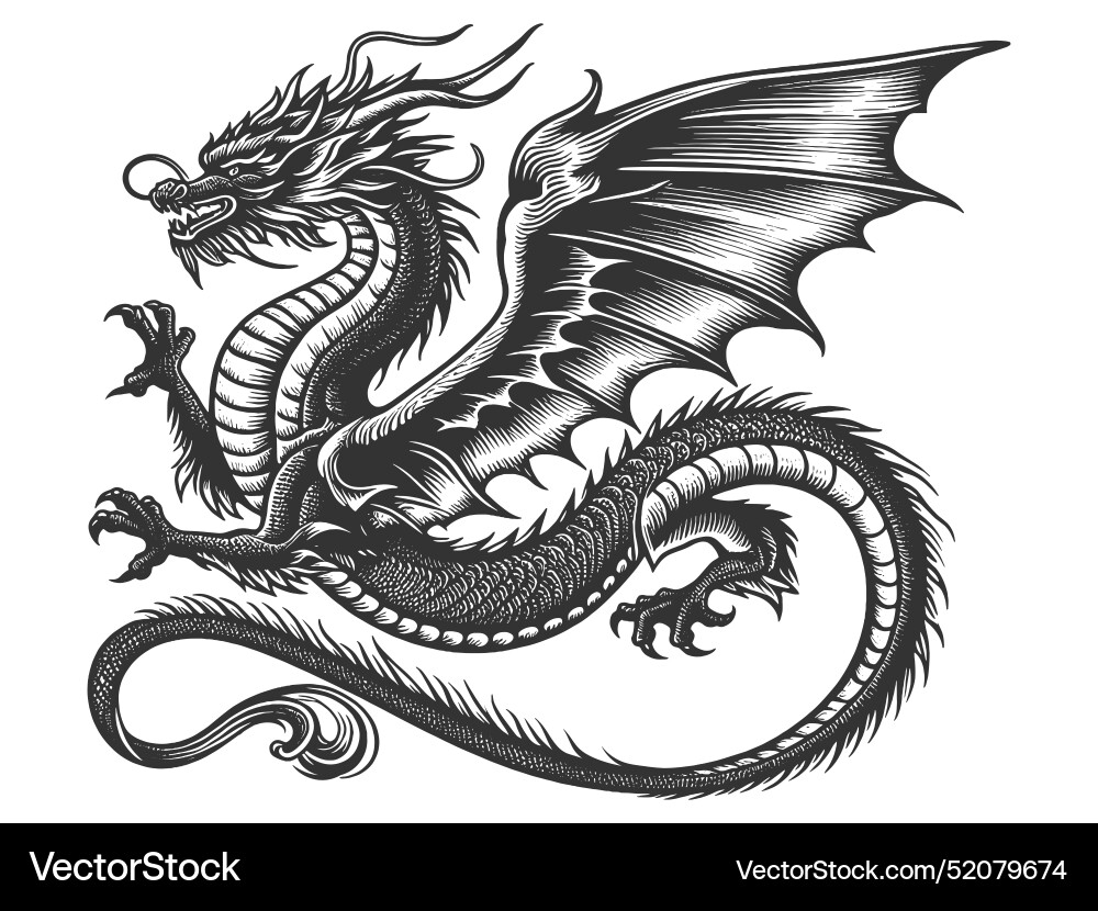 Intricate dragon engraving Royalty Free Vector Image